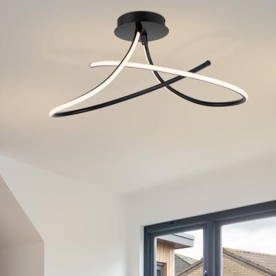 COSYLYTE Carter 2 Light LED Ceiling Light - Matt Black | Flitch